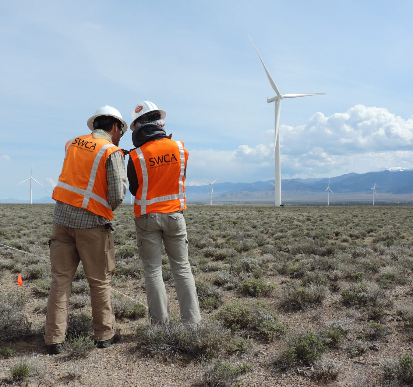 Career Development | SWCA