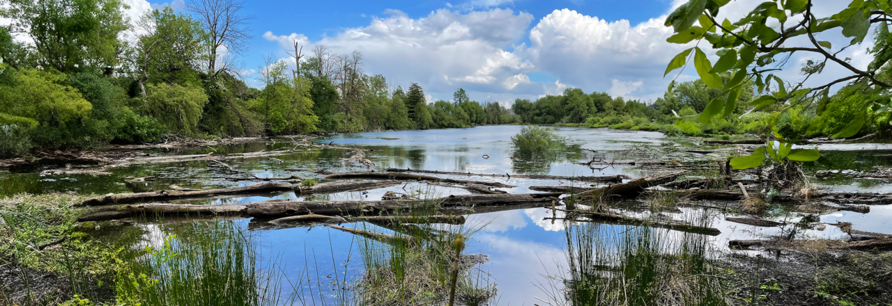 SWCA Releases 2023 Sustainability Report (SWCA News) | SWCA