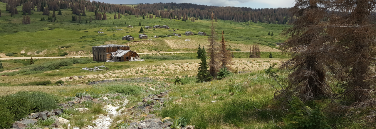 Integrating Ecological Restoration Methods Into Abandoned and Closed ...