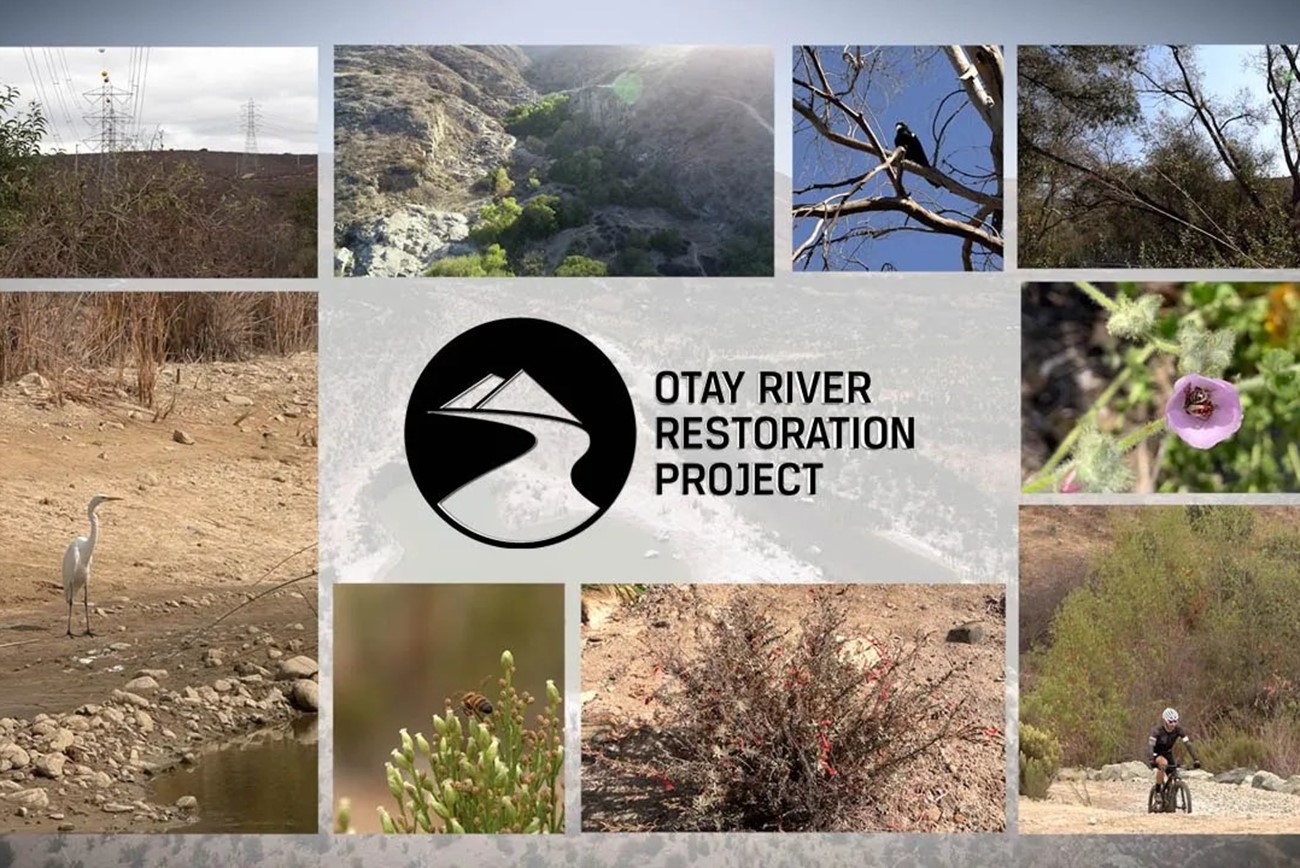 Ecosystem Restoration | SWCA