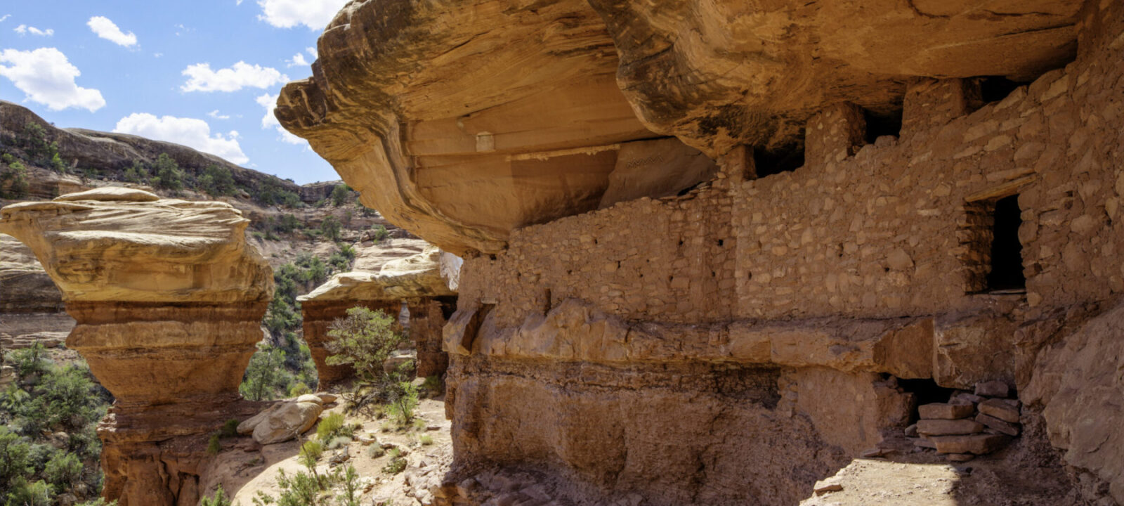 SWCA to Assist with Management Plan for Bears Ears National Monument ...