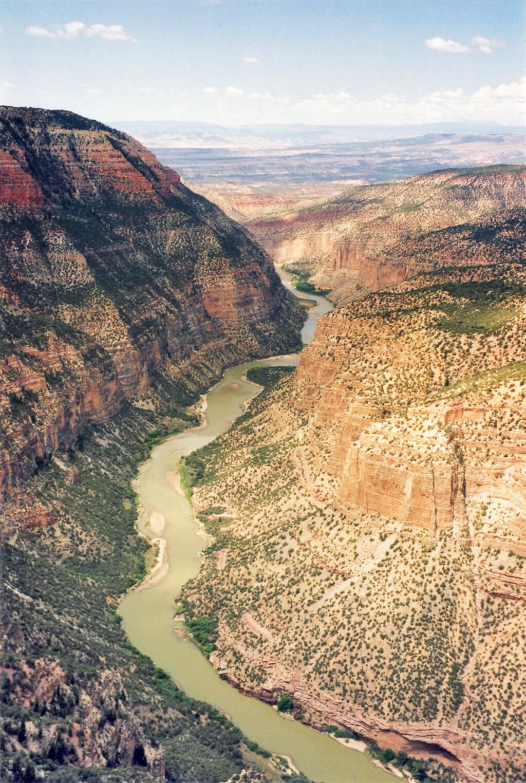 A Tale of Two Rivers (Featured Stories) | SWCA