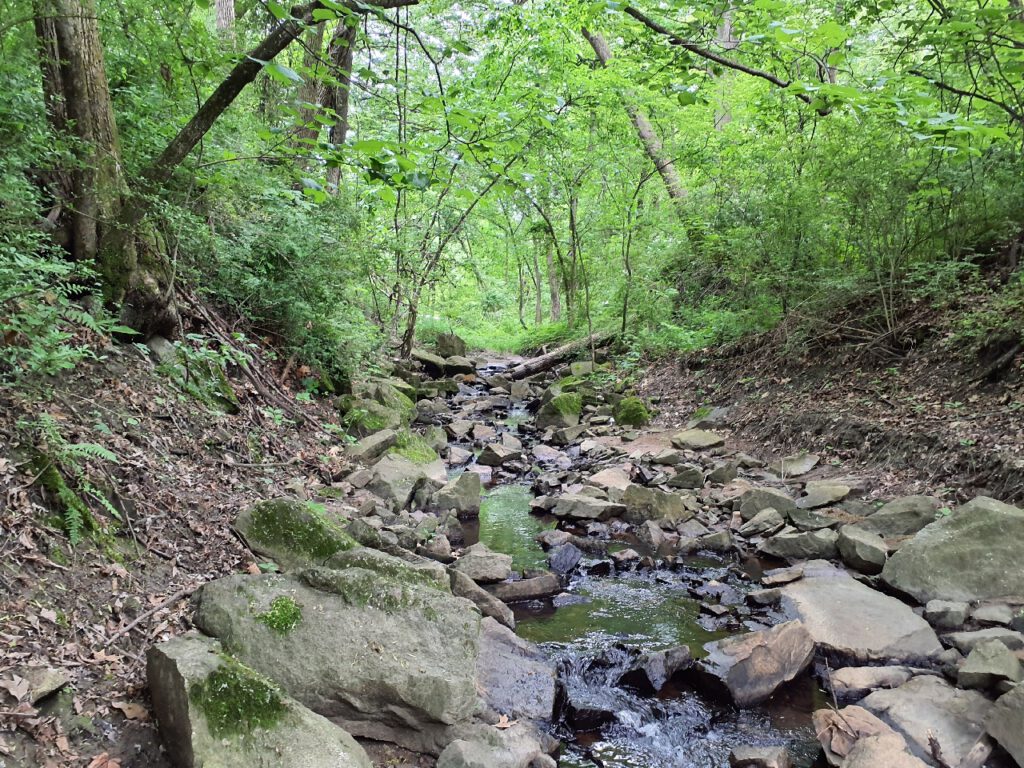 Retracing the Past: Historic Preservation of A New England Canalway ...