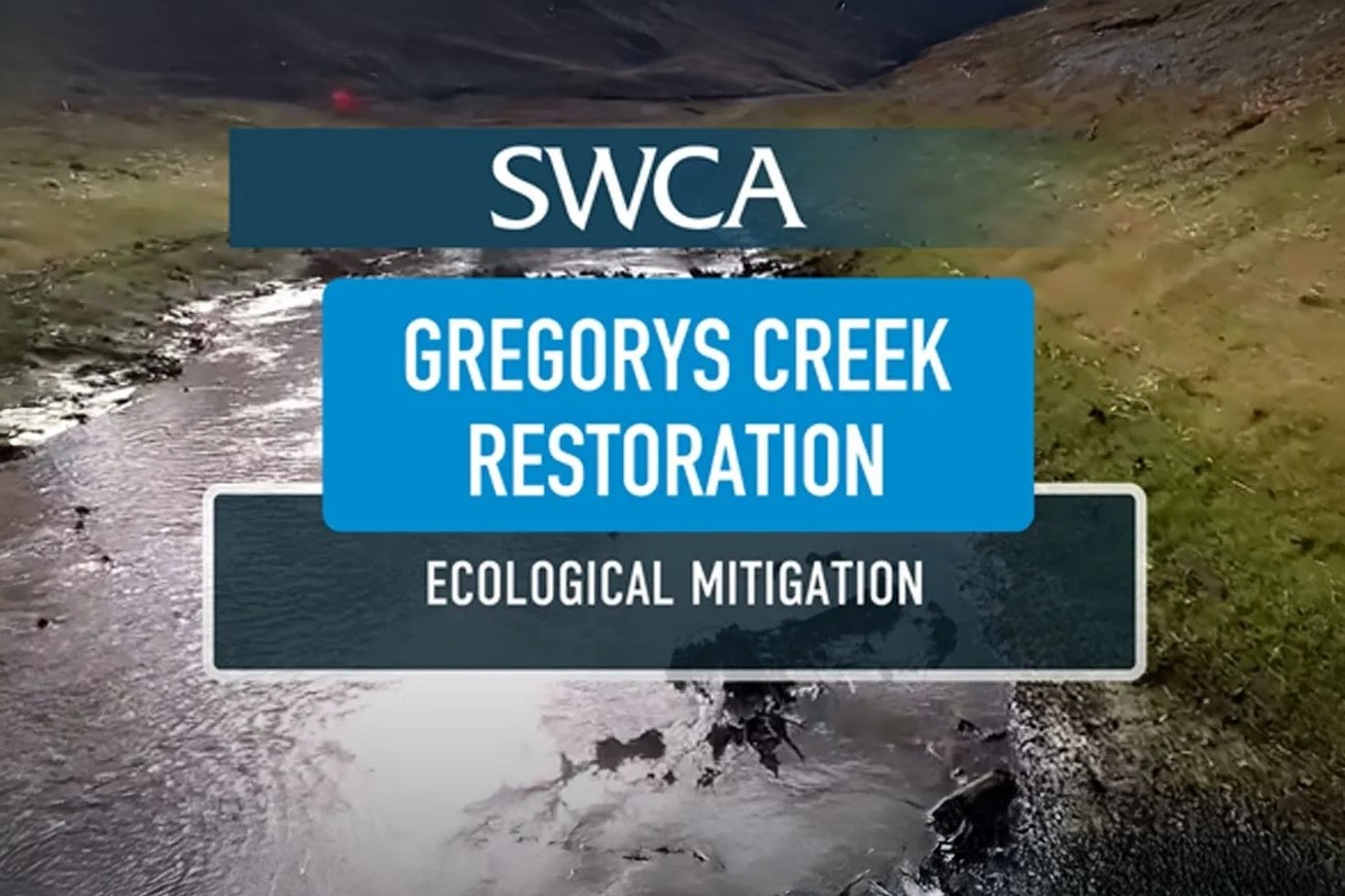 Ecosystem Restoration | SWCA