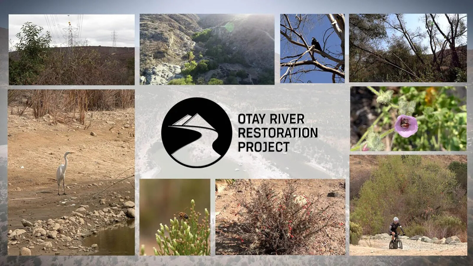Otay River Mitigation Bank in San Diego County, California (HomeFed ...