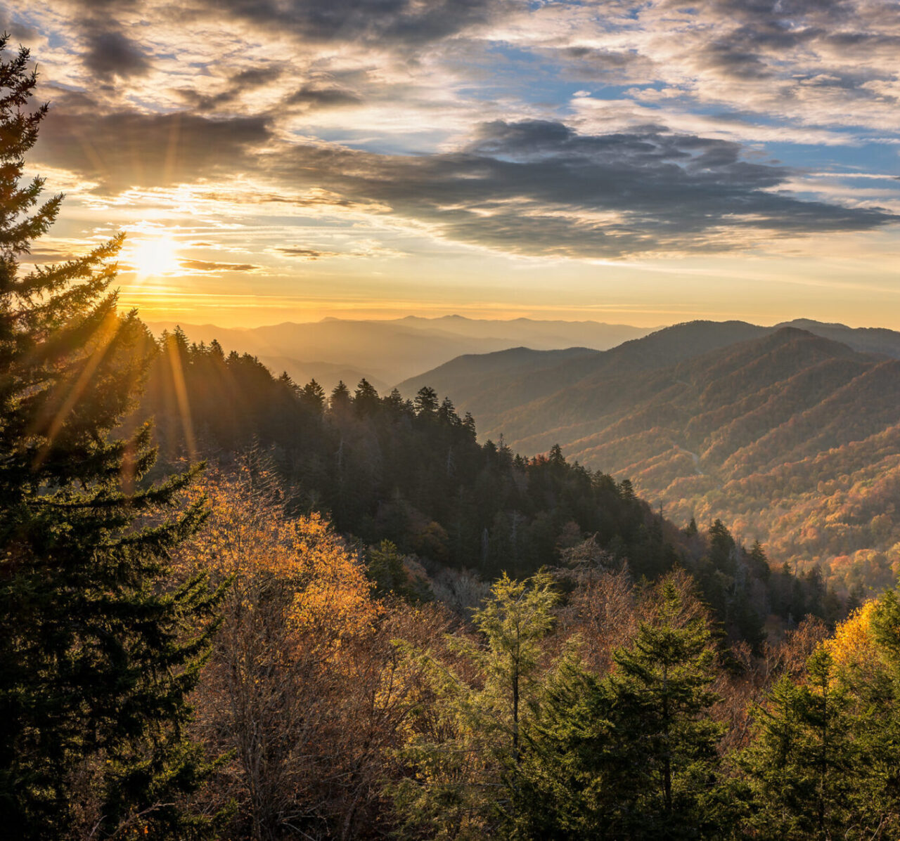 Indigenous Services | SWCA